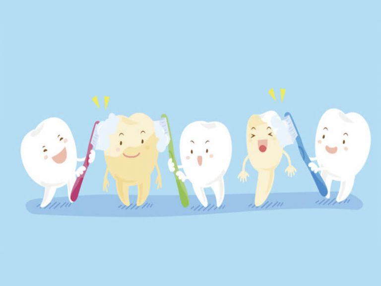 Hướng dẫn 6 bước đánh răng đúng cách giúp răng chắc khỏe